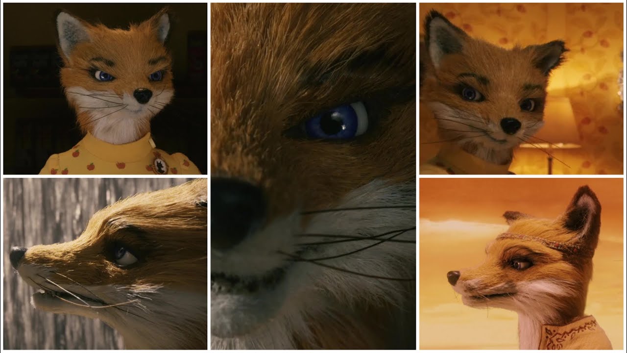 [Fantastic Mr. Fox] The Complete Animation of Felicity Fox - YouTube