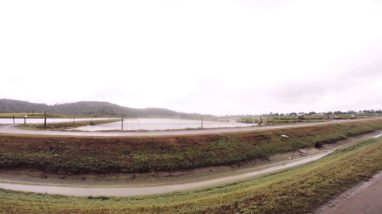 Australia Shrimp Farm - YouTube