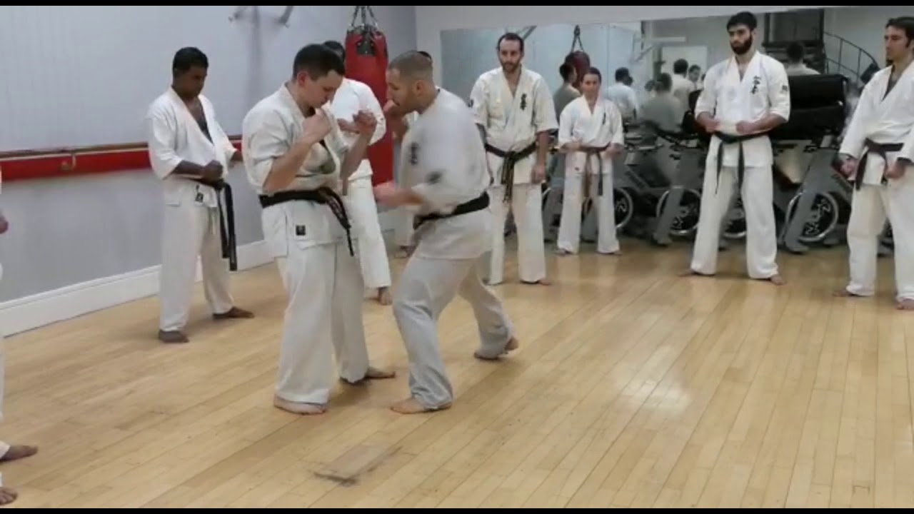 Implementing Boxing into Kyokushin. Powerful single hand combination ...