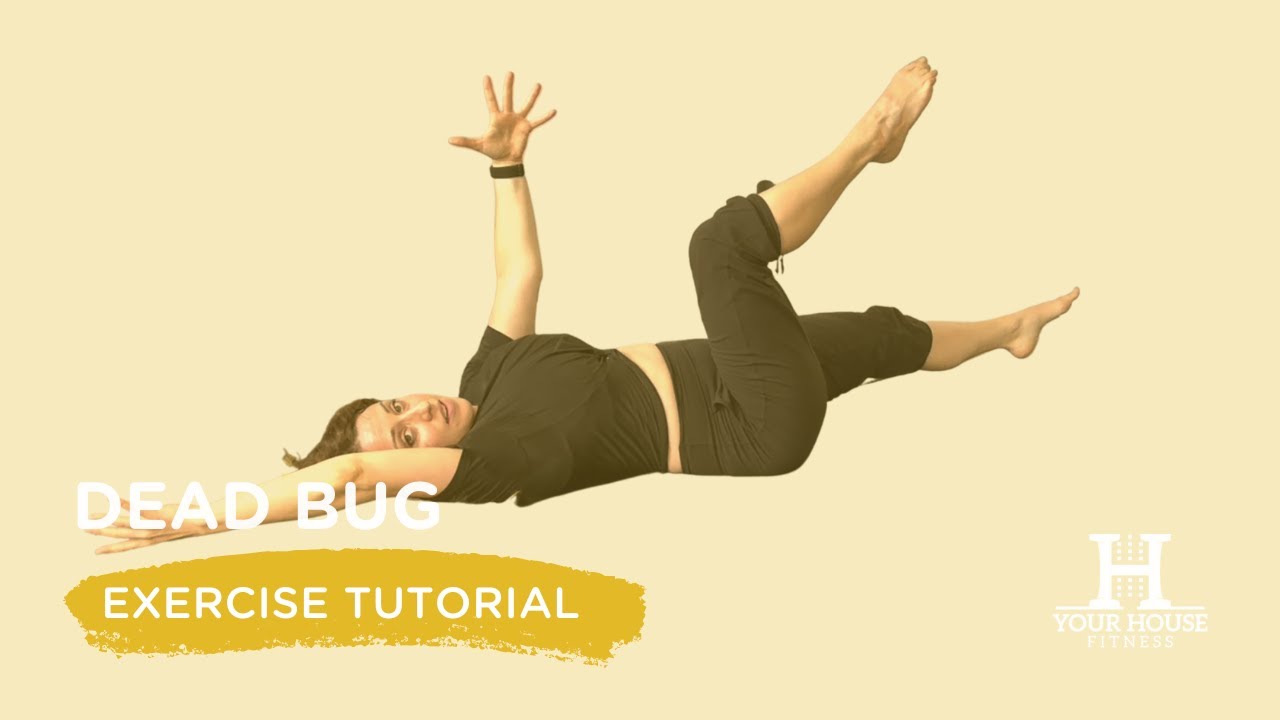 How to Do Dead Bug Exercise - YouTube