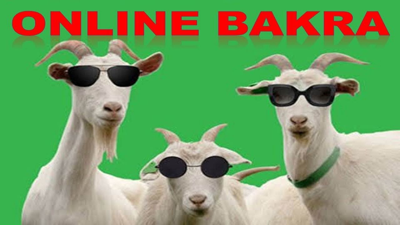 Online Bakra || Bakra Eid || New Funny Video || Sketch Comedy || Comedy ...