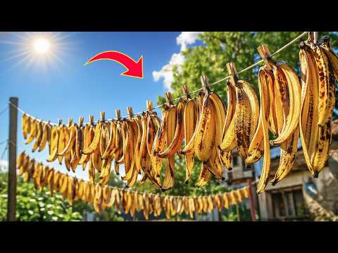 Bu sırrı keşfedin! Birçok insan güneşte kurutulmuş muz kabuklarının altın madeni olduğunu bilmiyor.