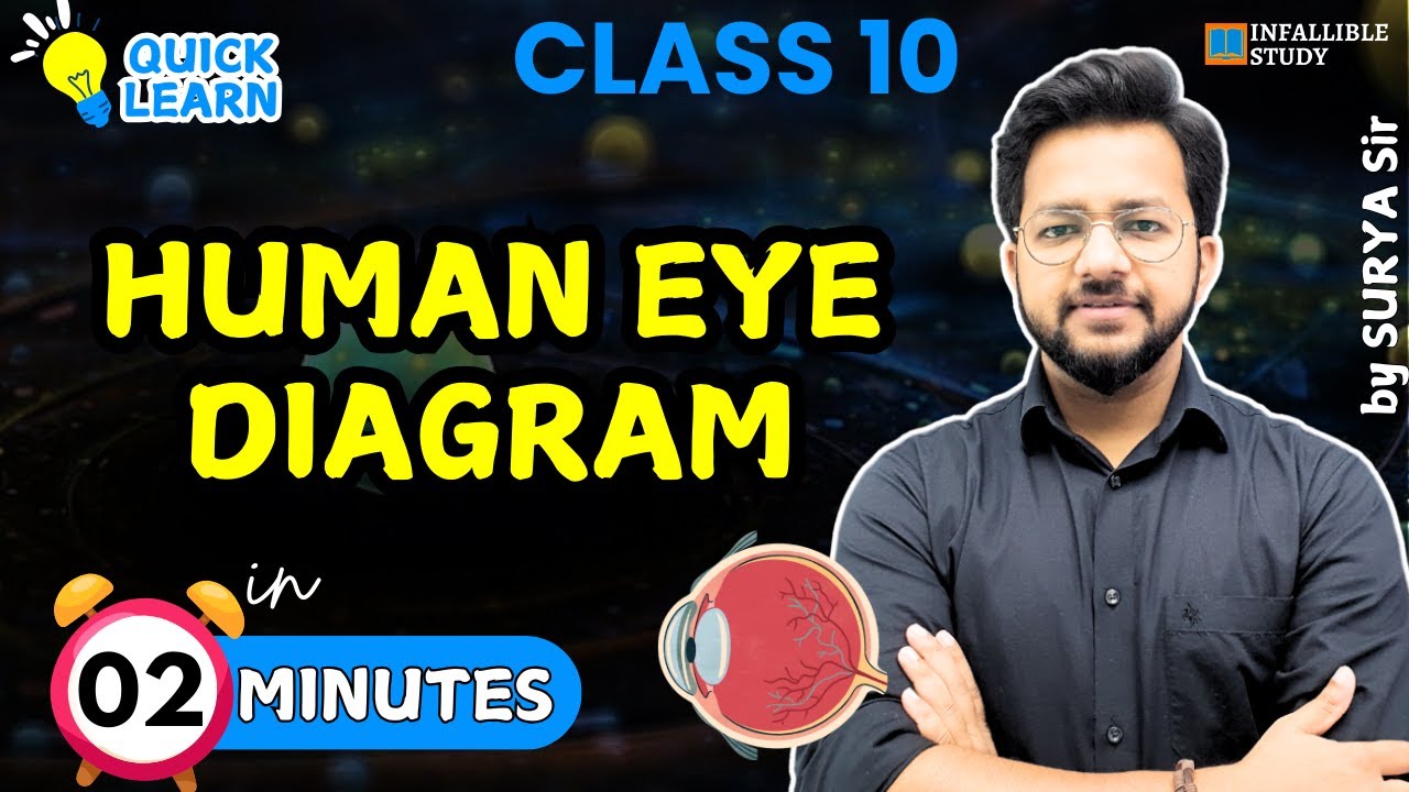 Humam Eye Diagram in 2 Min: Human Eye and Colourfull World | Class 10 ...