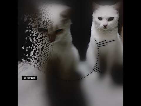 Океан Ельзи – Обiйми ( Remix) orire