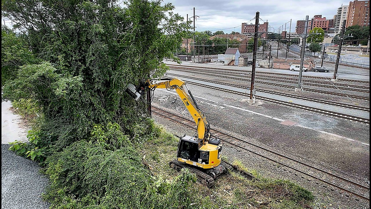 How Norfolk Southern trims trees and brush along Railroad Tracks, in ...
