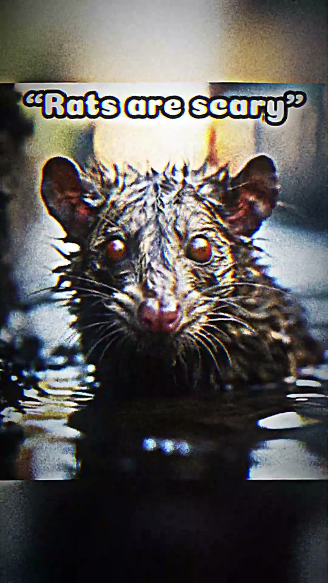 THE RAT KING #shorts #bsd - YouTube