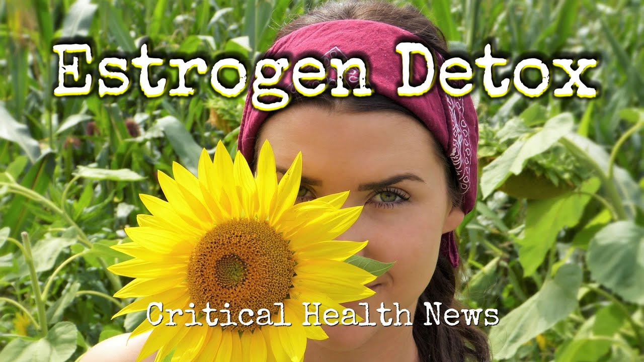 Estrogen Detox - Pharmacist Ben Fuchs - Moment of Truth - YouTube