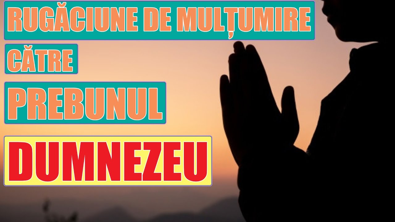 RUGACIUNE DE MULTUMIRE CATRE PREABUNUL DUMNEZEU : STEFAN ION, PSIHOLOG ...