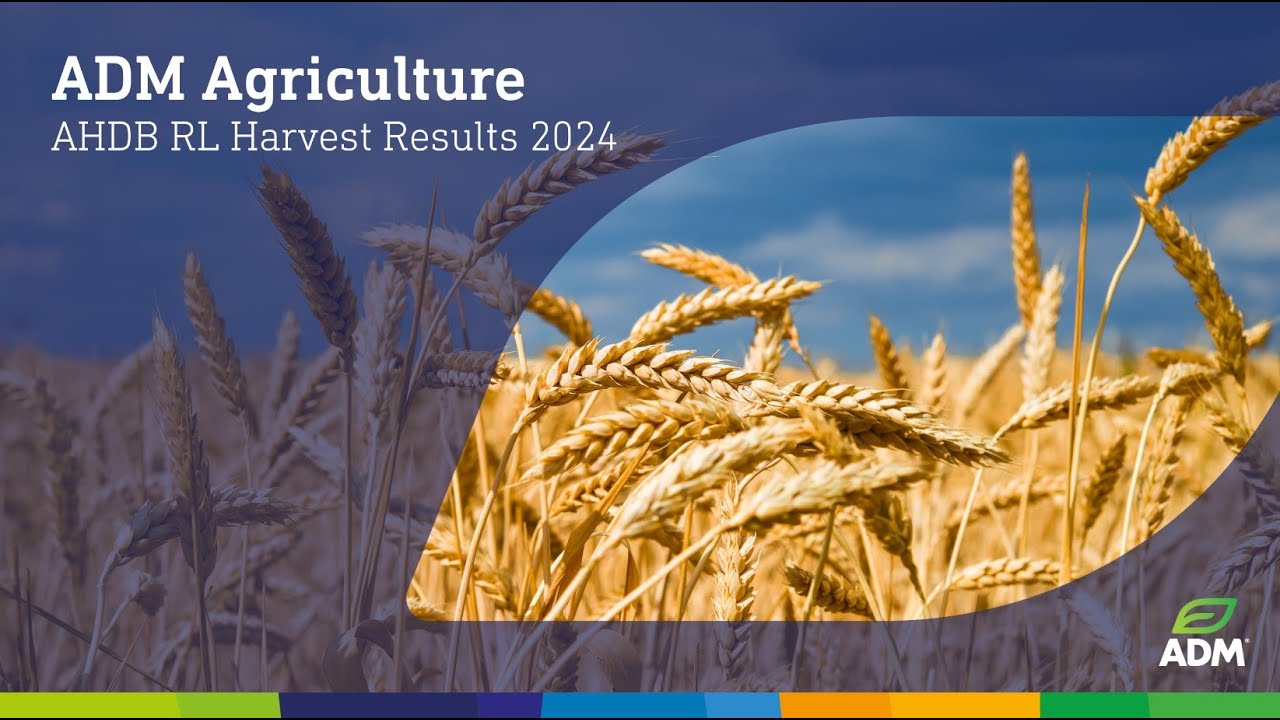 AHDB Harvest Results August 2024 - YouTube