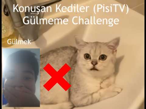 Gülmeme Challenge ama komik montaj kedi videoları PisiTV
