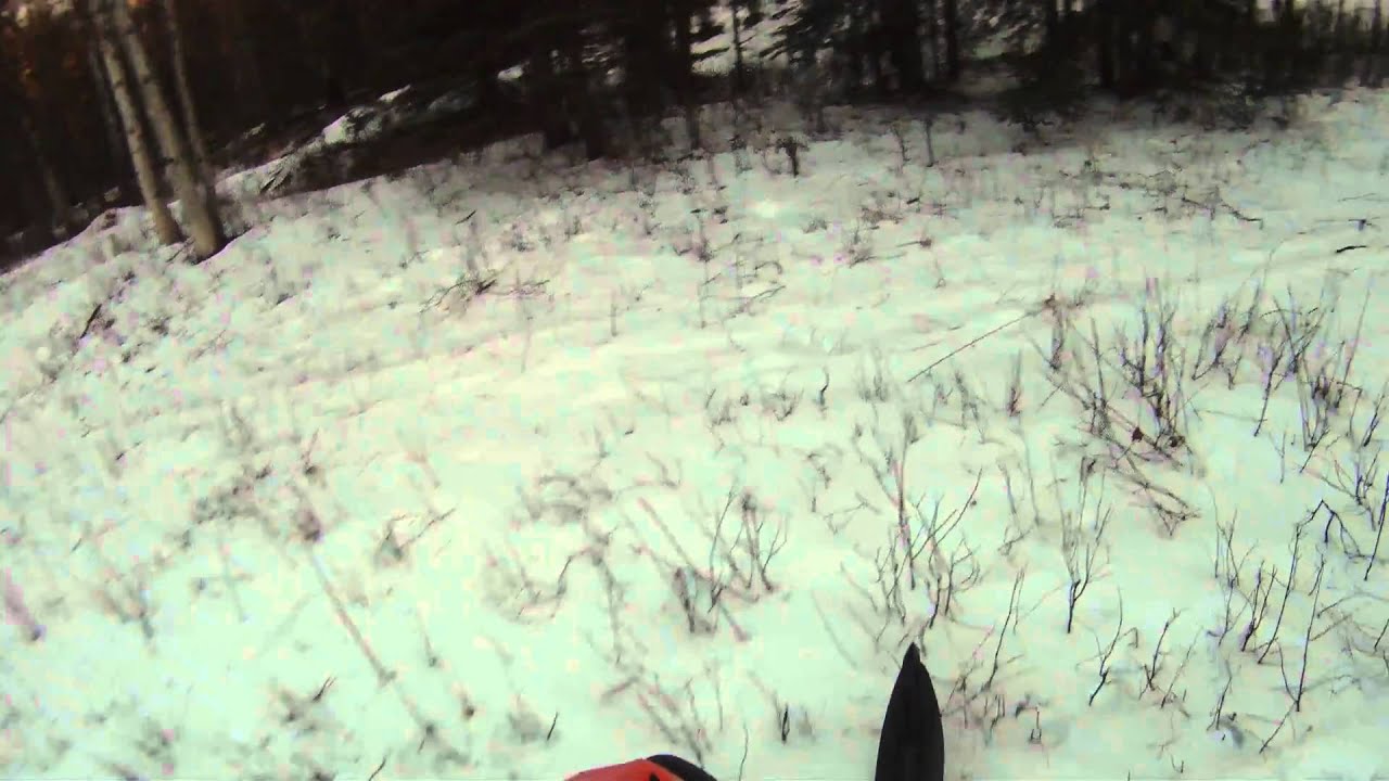 New sled 2005 Ski doo Summit 600 144 go pro hd - YouTube