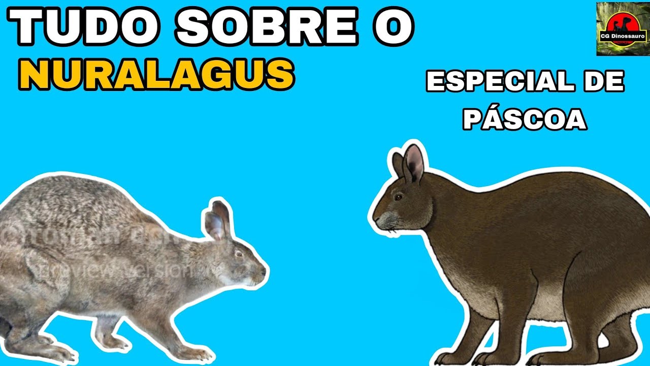 TUDO SOBRE O NURALAGUS REX-O COELHO GIGANTE!!-EXTINÇÃO NATURAL-(#3 ...
