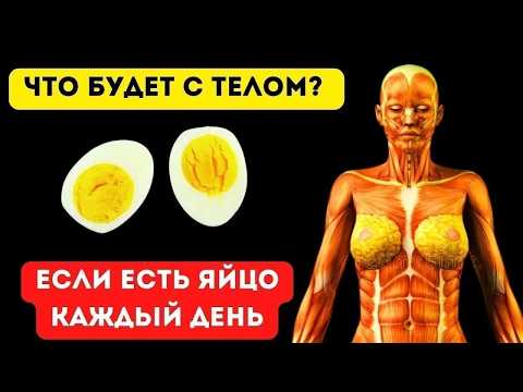 ЧТО творят ЯЙЦА с ТЕЛОМ, даже 2 шт. в ДЕНЬ ?