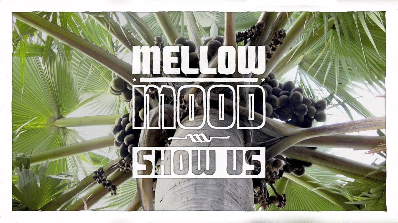 Mellow Mood - Show Us - YouTube
