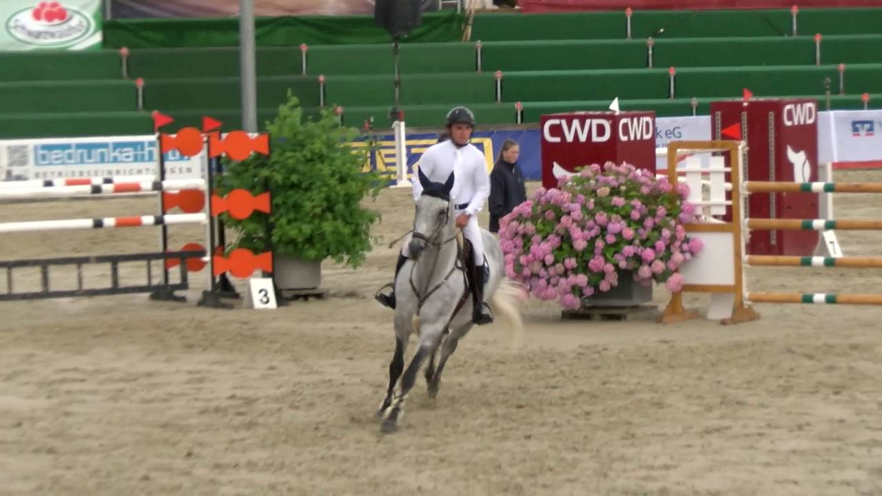 Fest der Pferde 2016 Prf11 52 Jonathan Gordon Ballantine Di Villagana ...