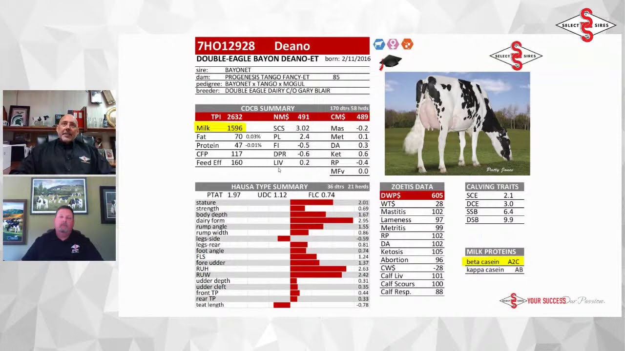 August 2020 Sire Summary Holstein Review - YouTube
