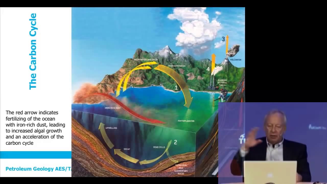 Petroleum Geology: The carbon cycle, organic matter and maturation ...