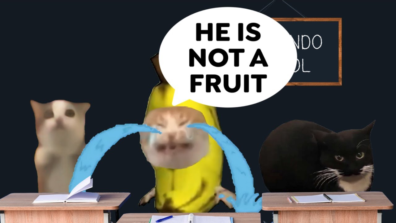 BANANA CAT GETS EMOTIONAL IN THE CLASS 🐱🥹 #bananacat #happycat # ...