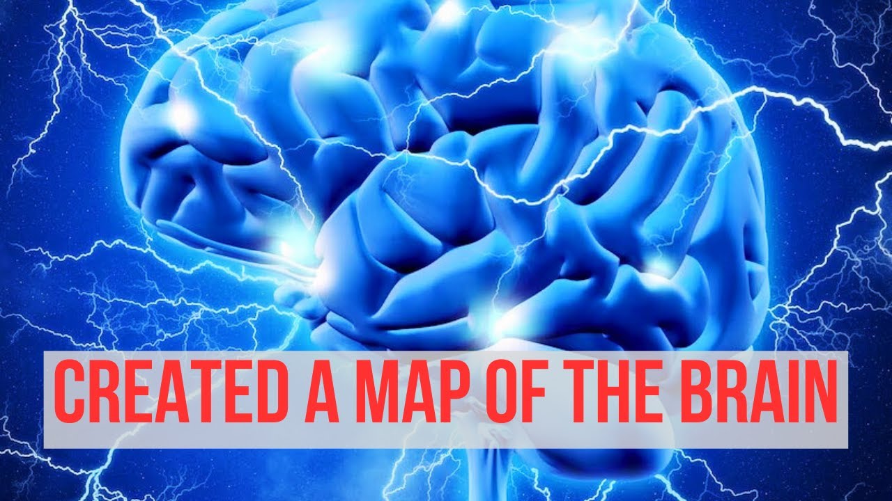 Scientists from the USA have developed a detailed map of the human ...