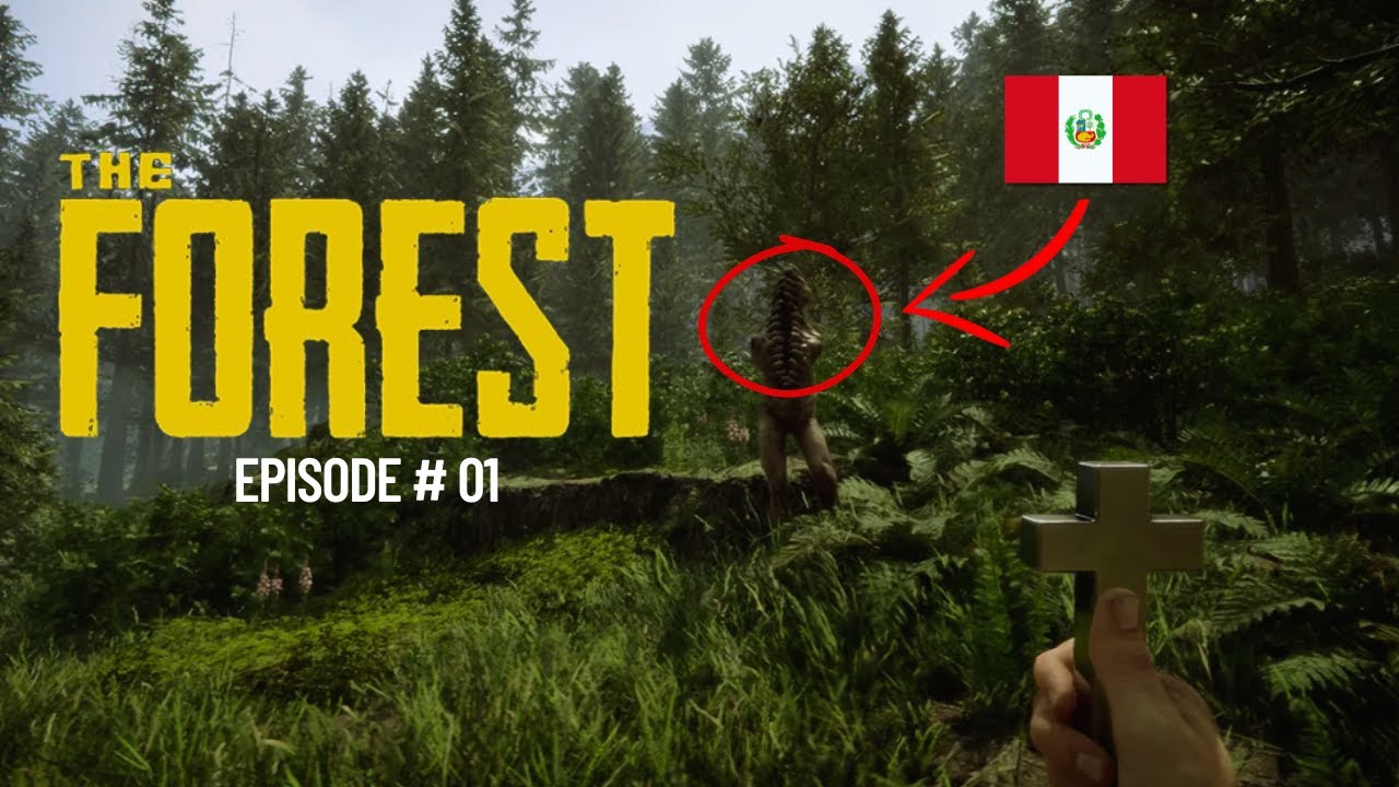 THE FOREST CINE - YouTube
