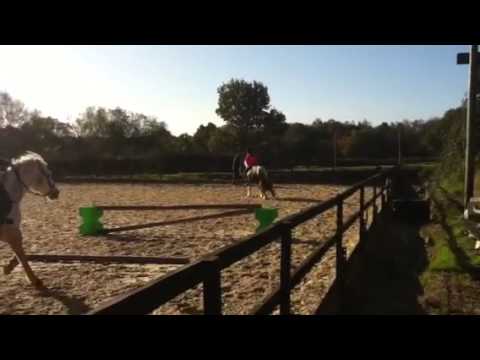 Bareback riding - Ashdown Riding - YouTube