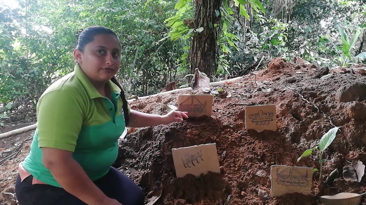 Mecanización agrícola Labranza primaria y secundaria - YouTube