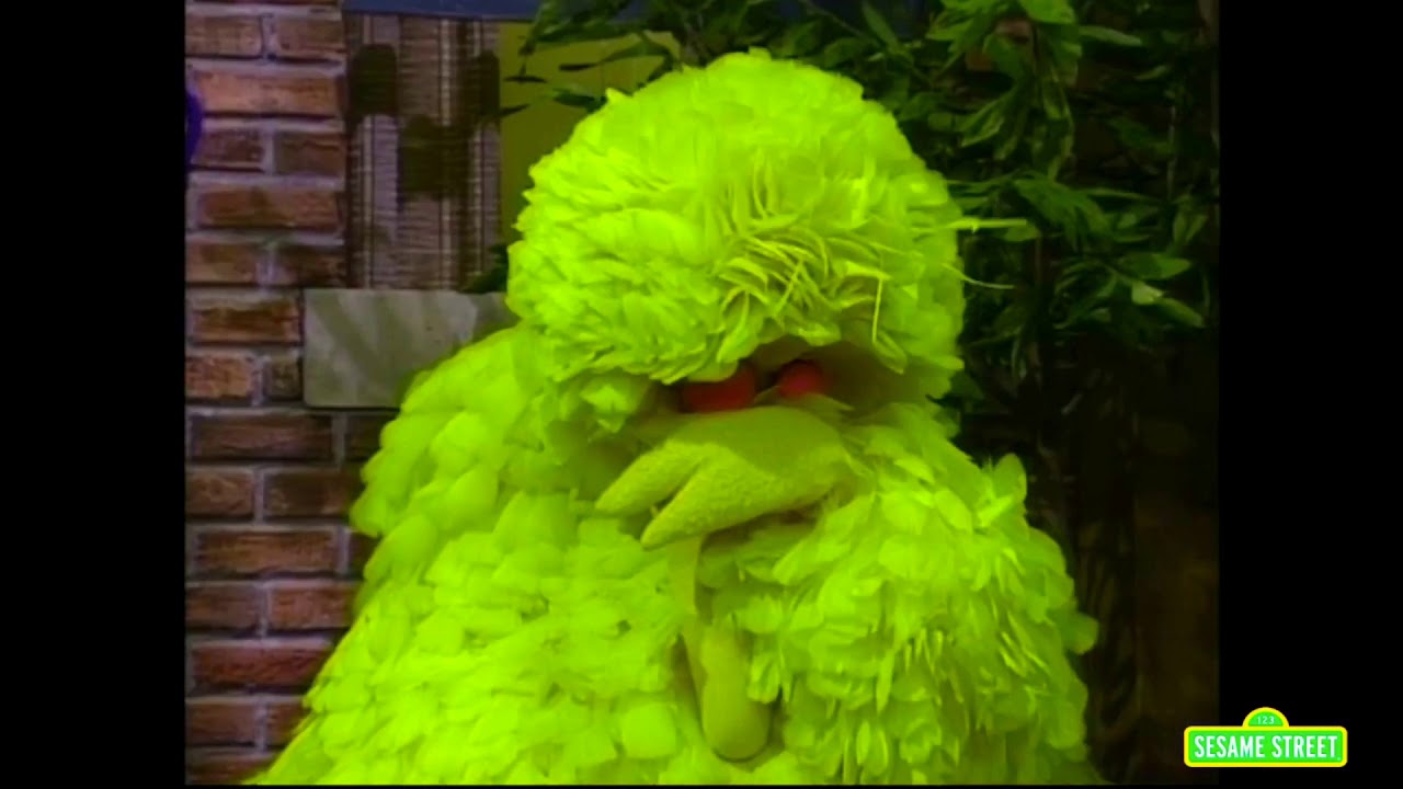 Big Bird Sleeping #3 - YouTube