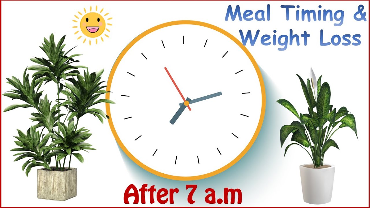 How to Time Your Meals for Optimal Weight Loss? | Time Your Meals to ...
