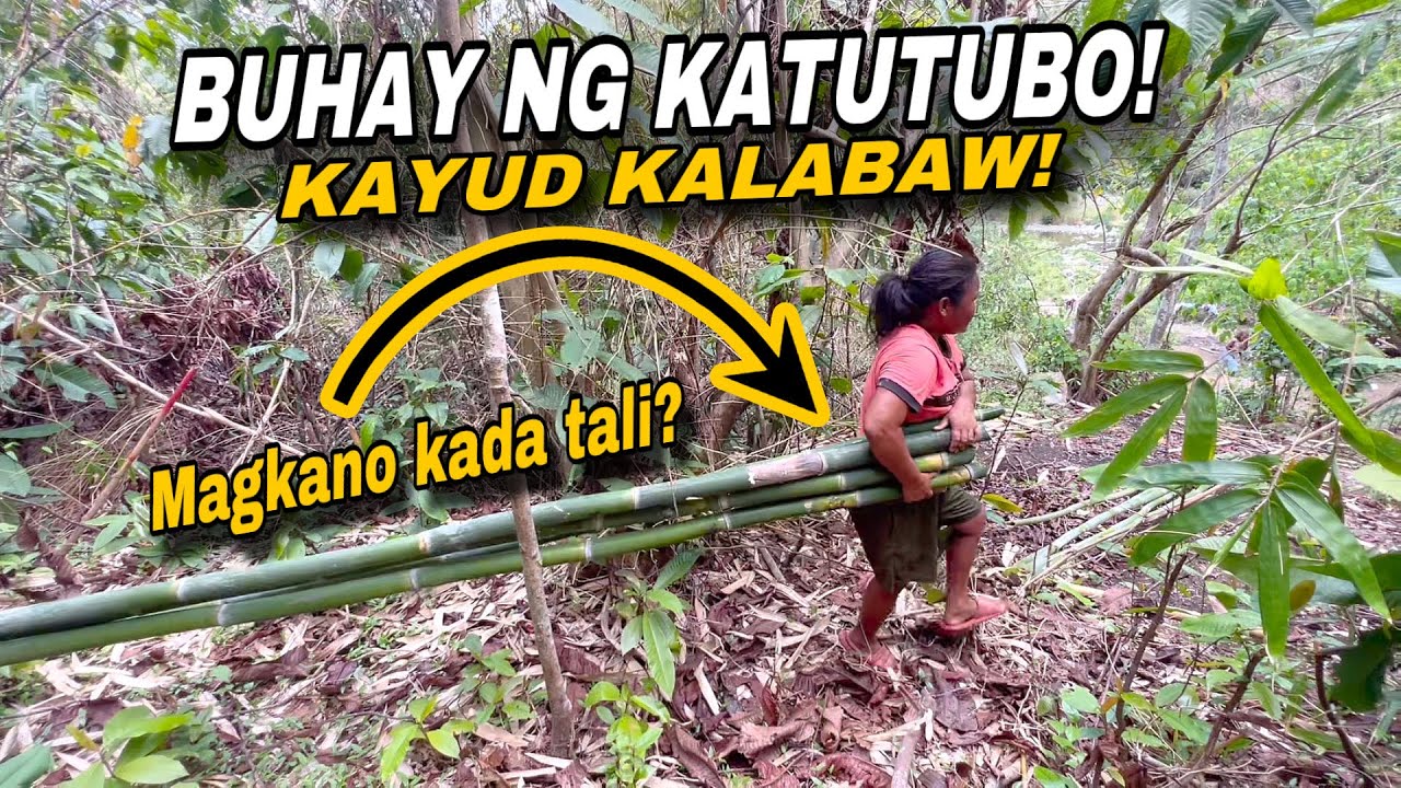 ANG KAWAYAN NG KATUTUBONG DUMAGAT! NAKAMAMATAY!! BWIS BUHAY NA BUHAY SA ...