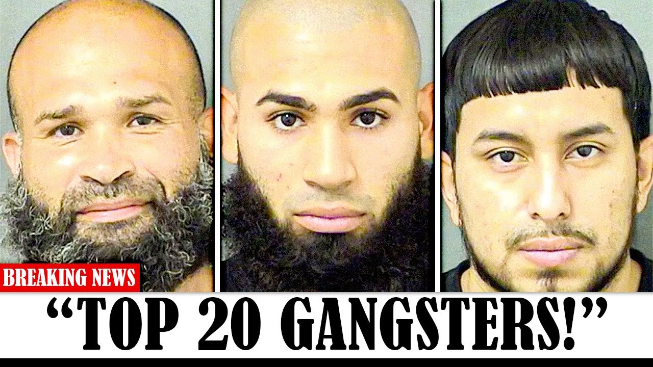 TOP 20 Hollywood Celebrities Who've Been In GANGS - YouTube