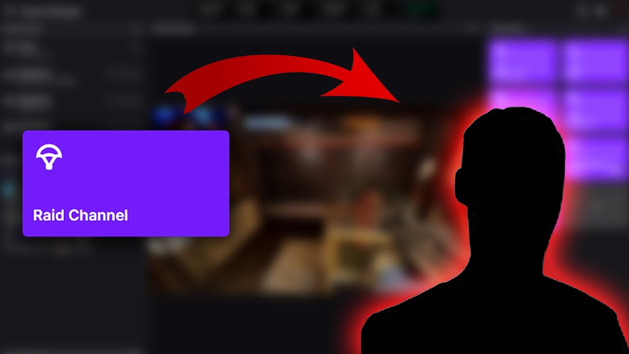 STREAMER ME HACE SU PRIMER RAID - YouTube