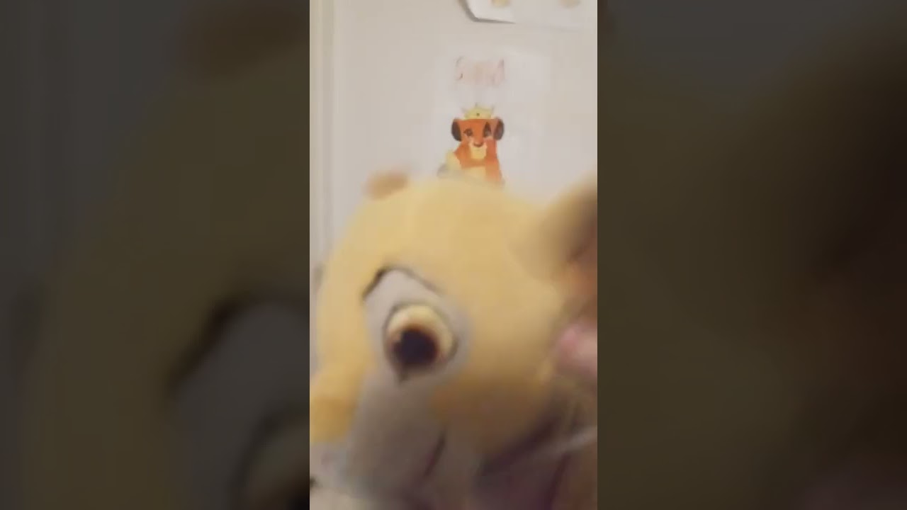 simba is crazy - YouTube
