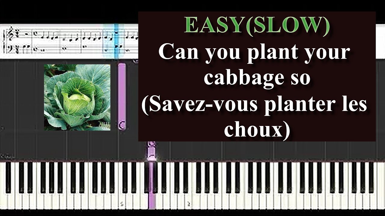 CAN YOU PLANT YOUR CABBAGE SO | EASY PIANO TUTORIAL FOR BEGINNERS (SLOW) || WITH MUSIC SHEET ...