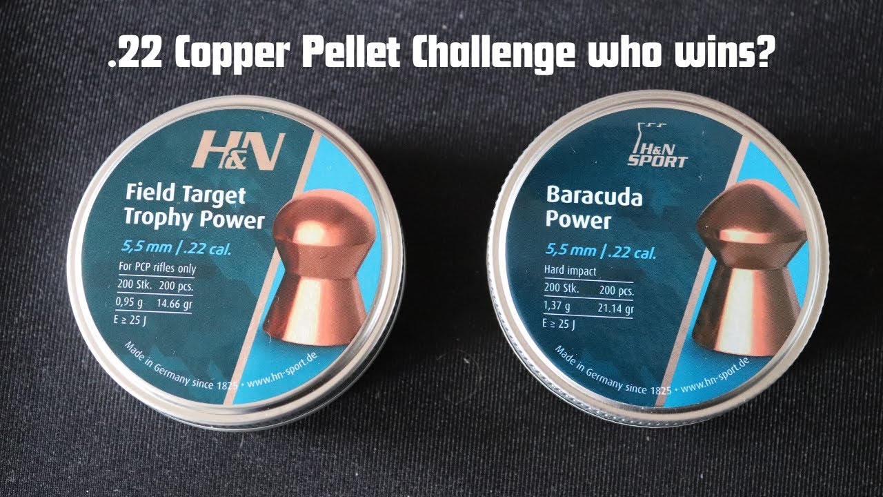 22 Copper pellet challenge - YouTube