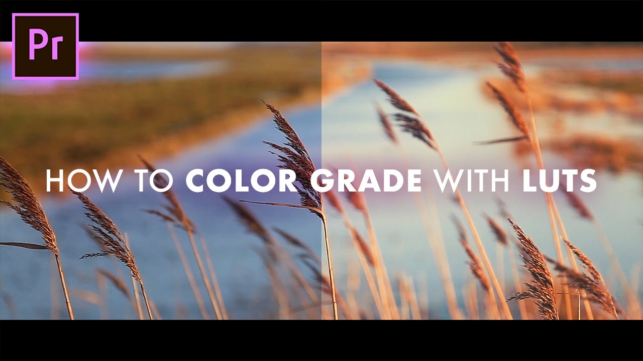 How to INSTANTLY Color Grade your footage using LUTs! (Pre Load ...