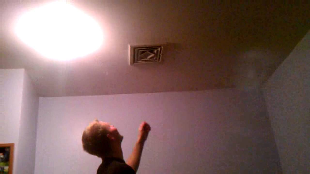 How to catch a moth - YouTube