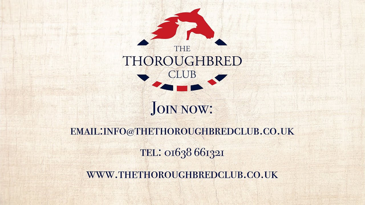 The Thoroughbred Club - YouTube