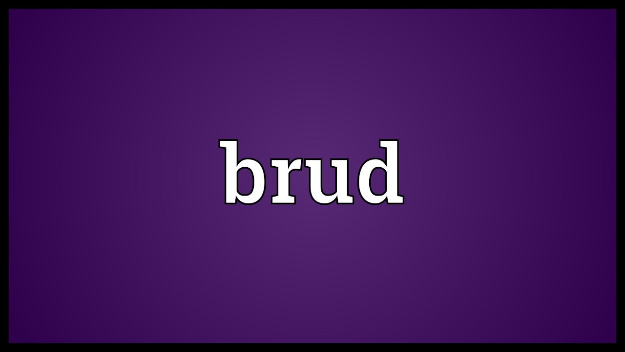 Brud Meaning - YouTube