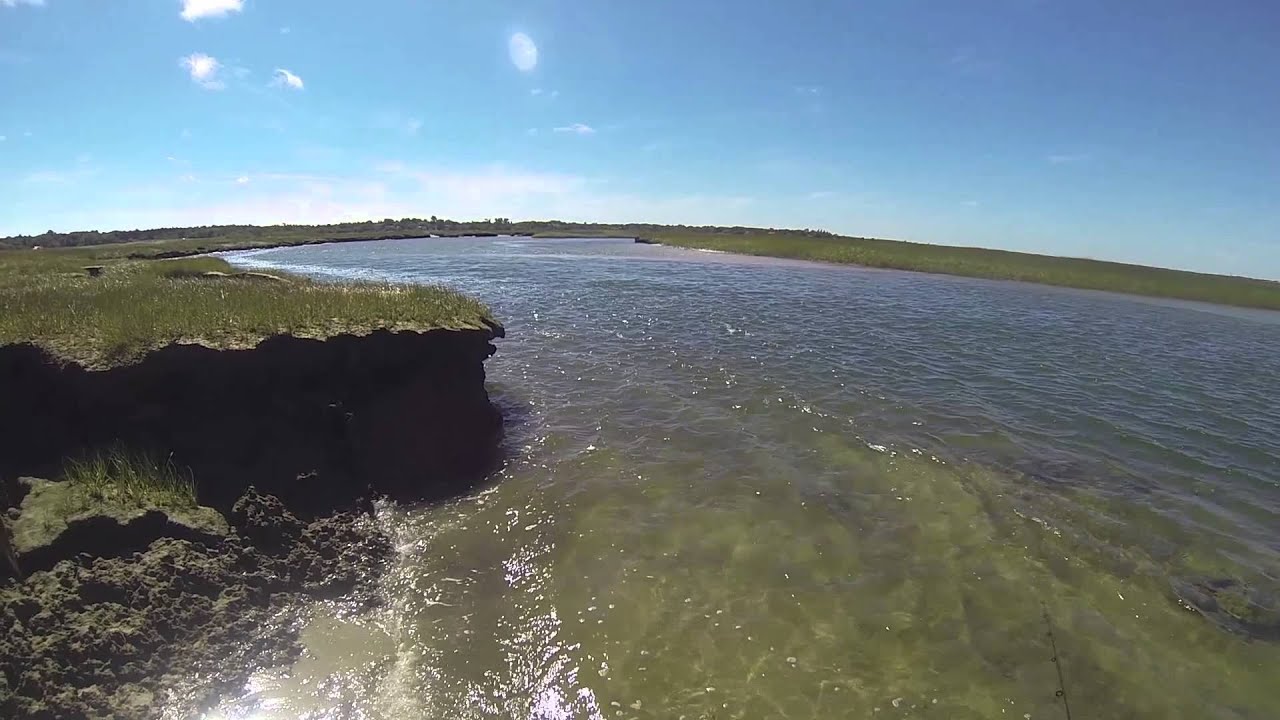 Schoolie Stripers in the Creeks - YouTube