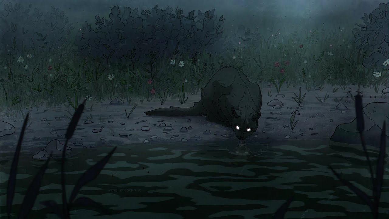 играем в кс 2 с memesens - YouTube