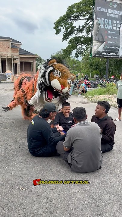 Lagi Asik Mainan Tiba Tiba Ada Can Macanan - YouTube