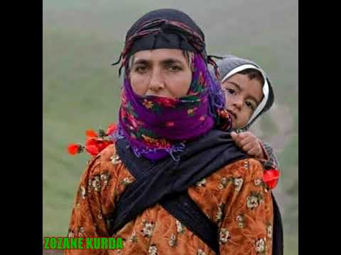 ŞEVAVE EGİT-WEY DIL ♥️