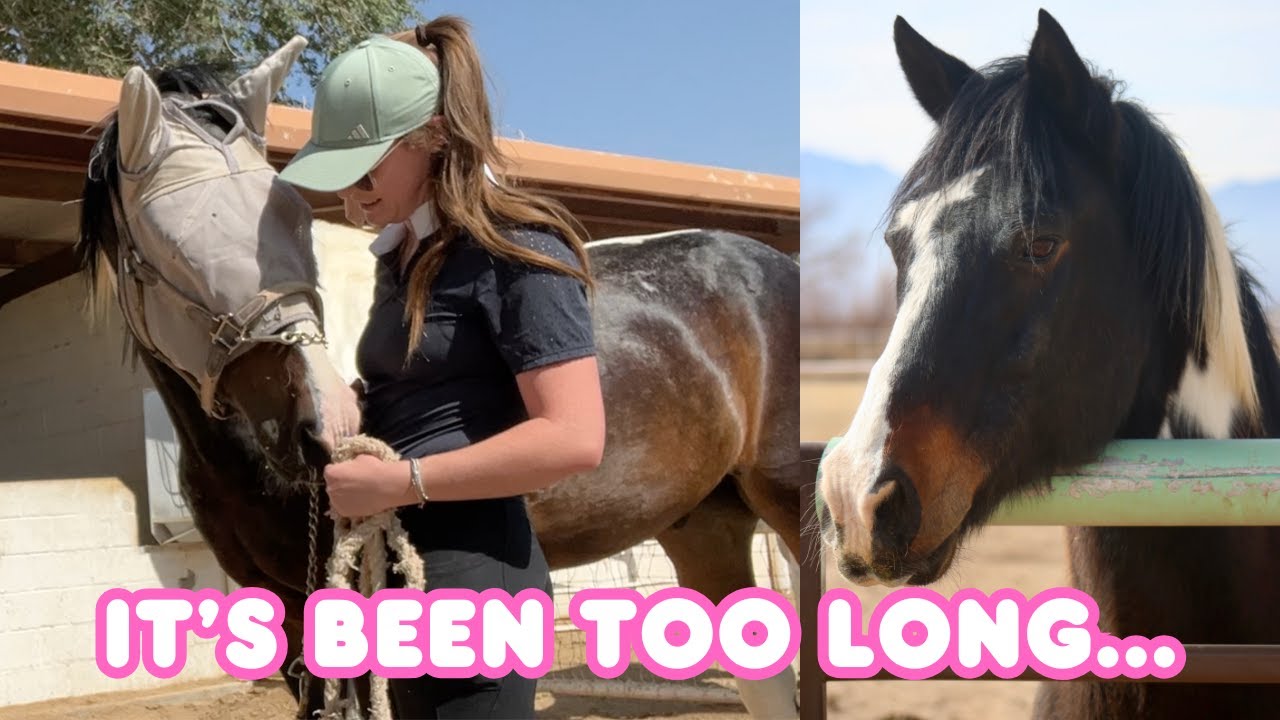 First Time Back at the Barn in TWO YEARS! - YouTube