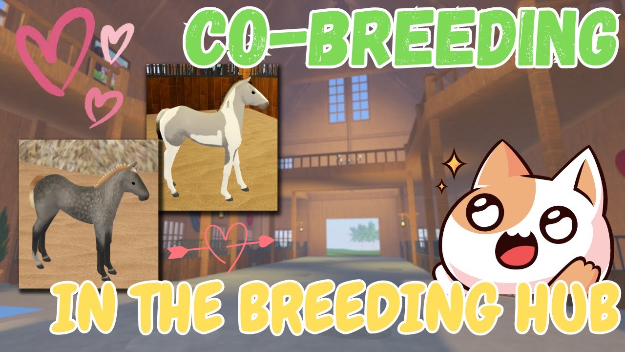 CO-BREEDING WITH RANDOM PEOPLE IN THE BREEDING HUB | Wild Horse Islands ...