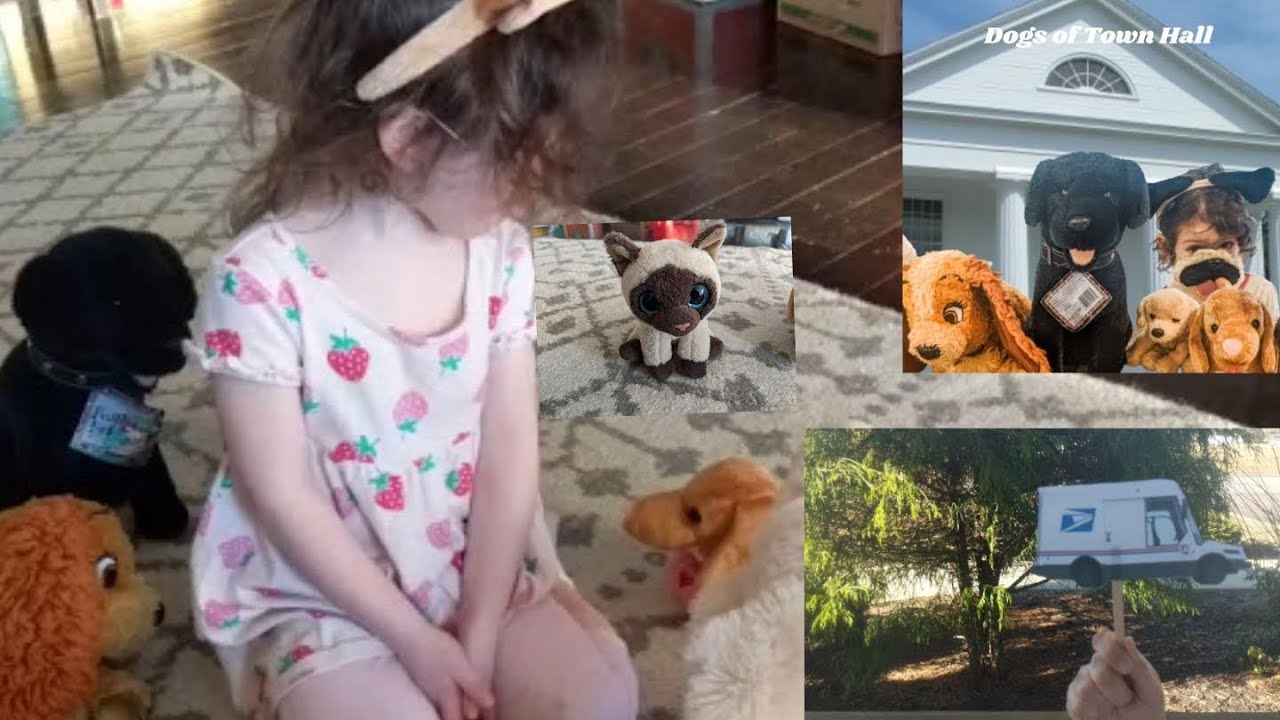 Jasper Learns the Ways of the Dog | Dogs of Town Hall Episode 5 ...