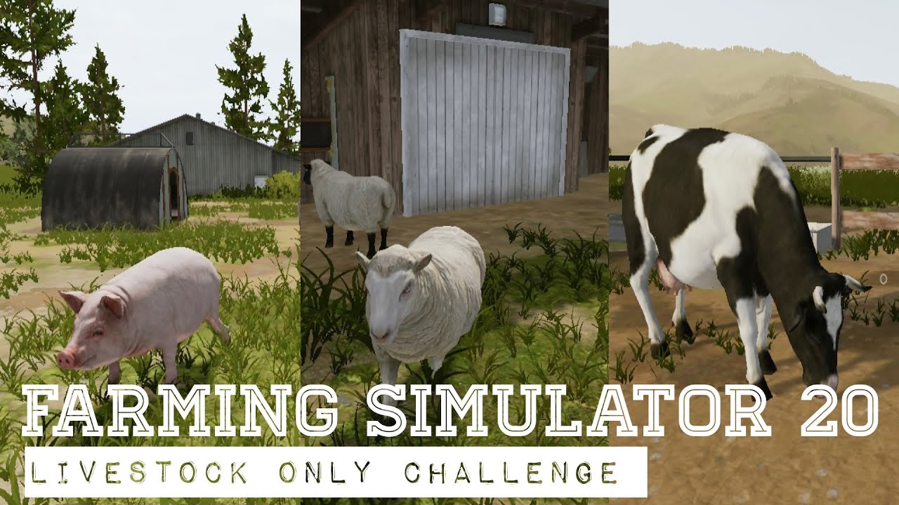Farming Simulator 20 - Livestock only challenge - Ep 1 - YouTube