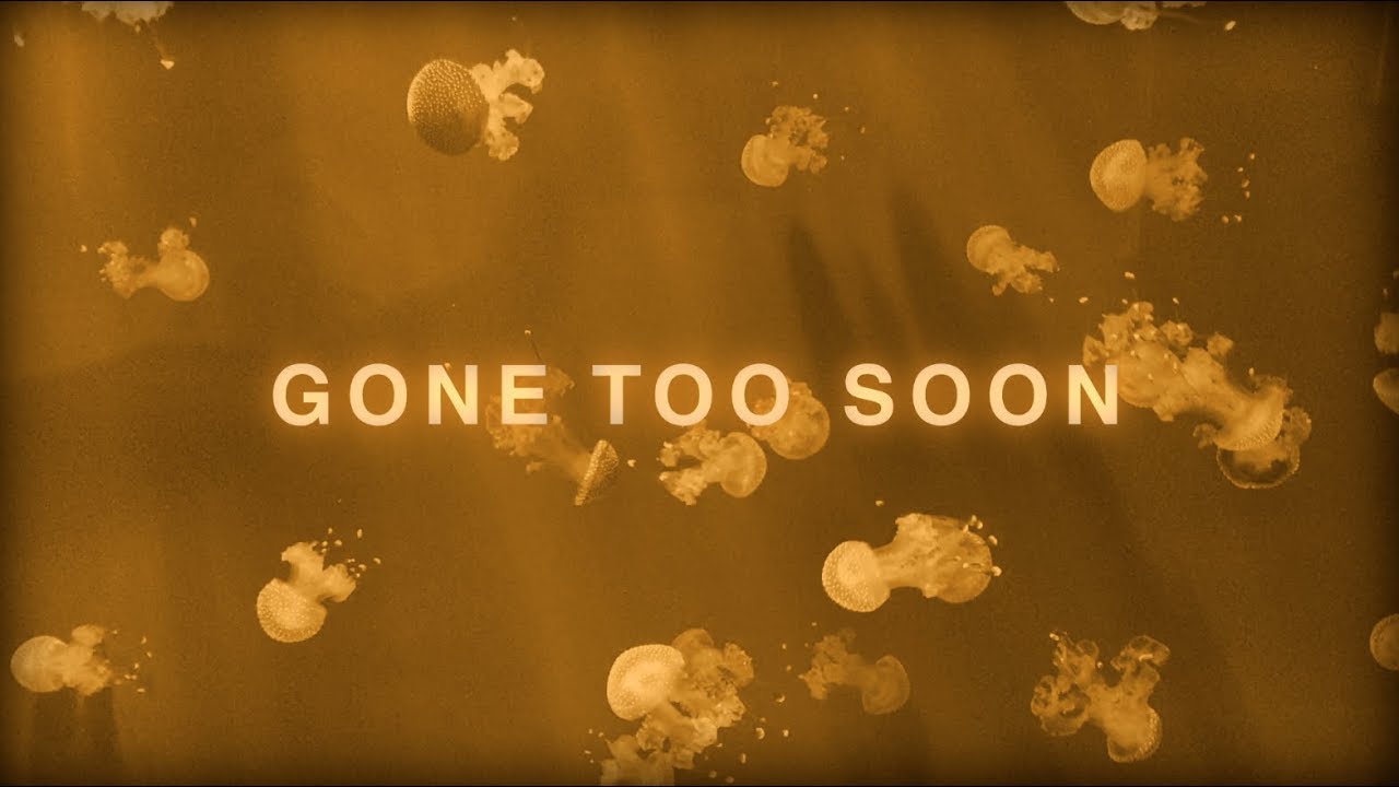 Stefon Harris - Gone Too Soon - YouTube