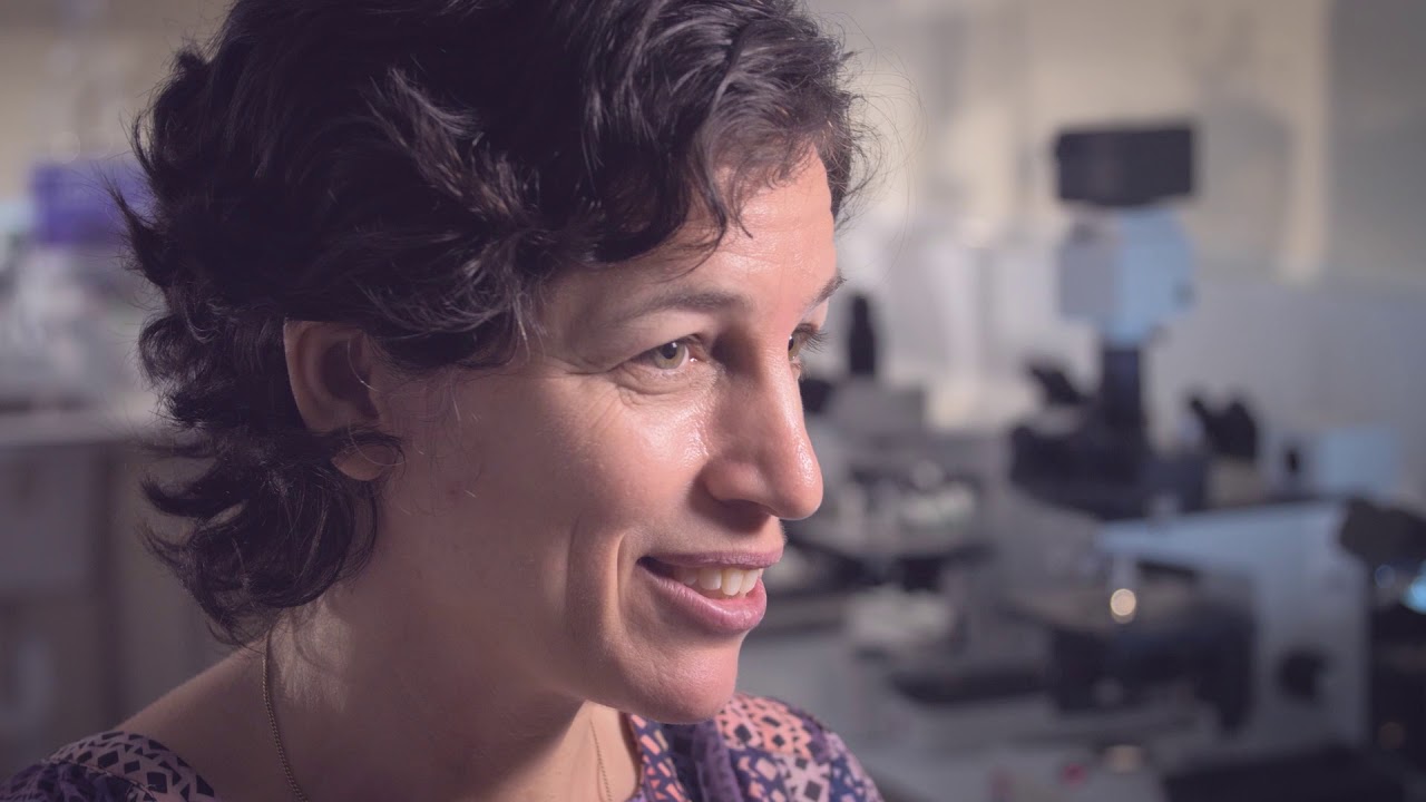 Frank Fenner Prize for Life Scientist of the Year 2018 - Lee Berger ...