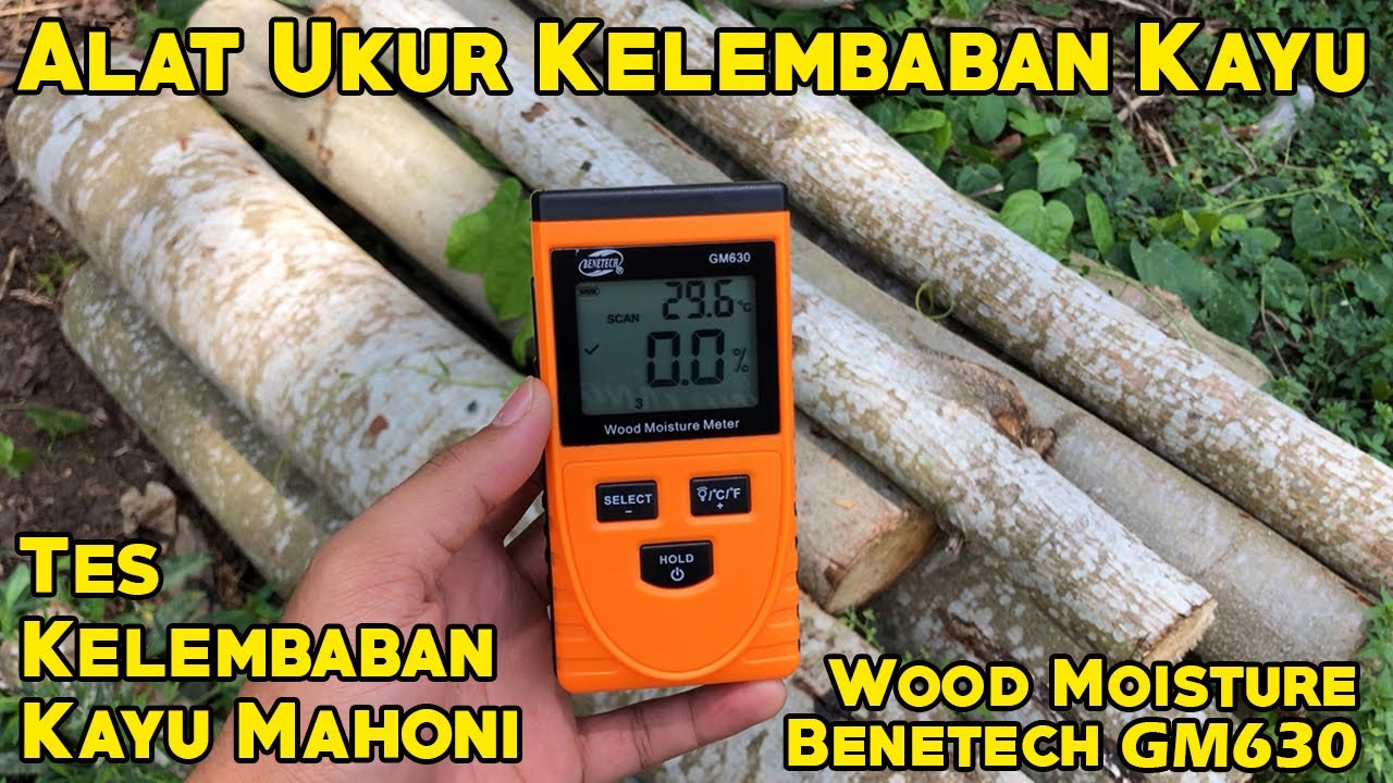 Wood Moisture Meter Benetech GM630 Alat Ukur Kadar Air Kayu - YouTube