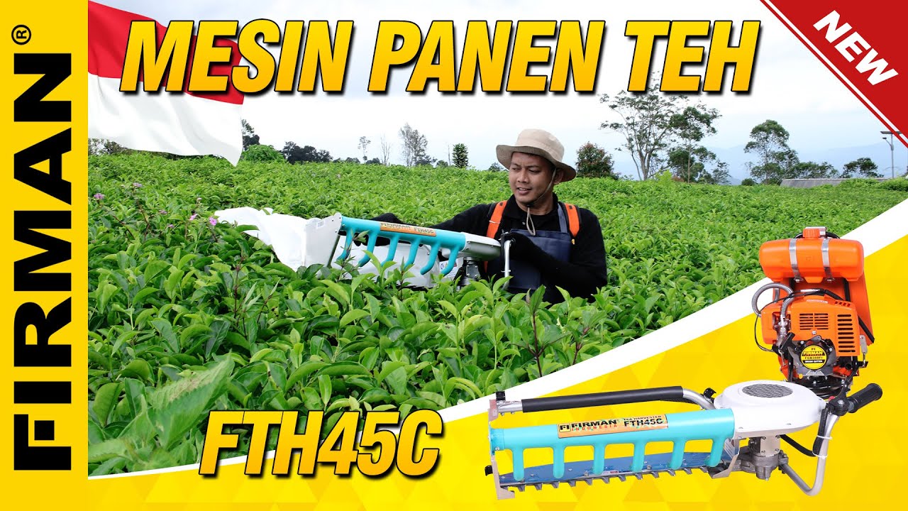 Alat Petik Teh FIRMAN FTH45C | Mesin Pemanen Teh dengan Brushcutter ...